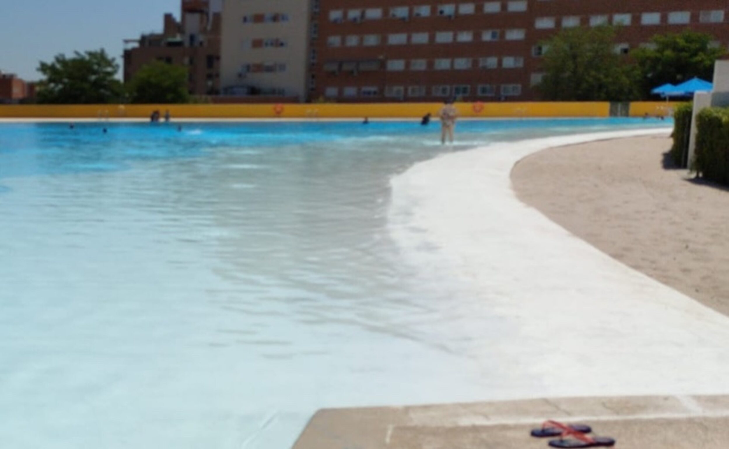 Así es la desconocida playa con olas, agua salada, arena y palmeras en ...