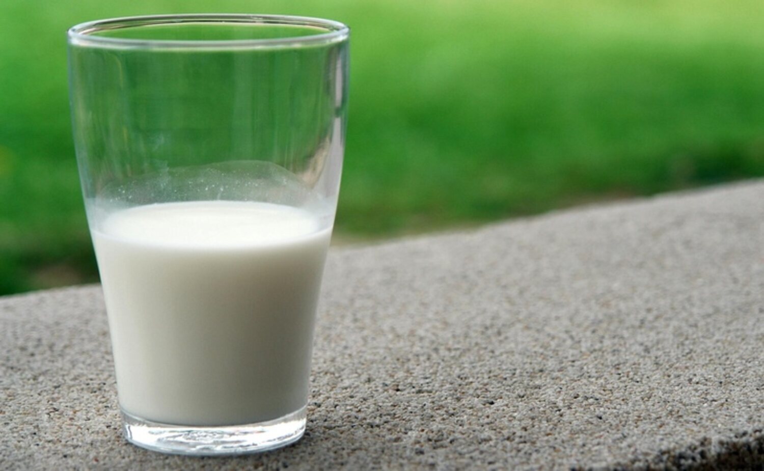 Según la OCU, ¿cuál es la mejor leche del supermercado?